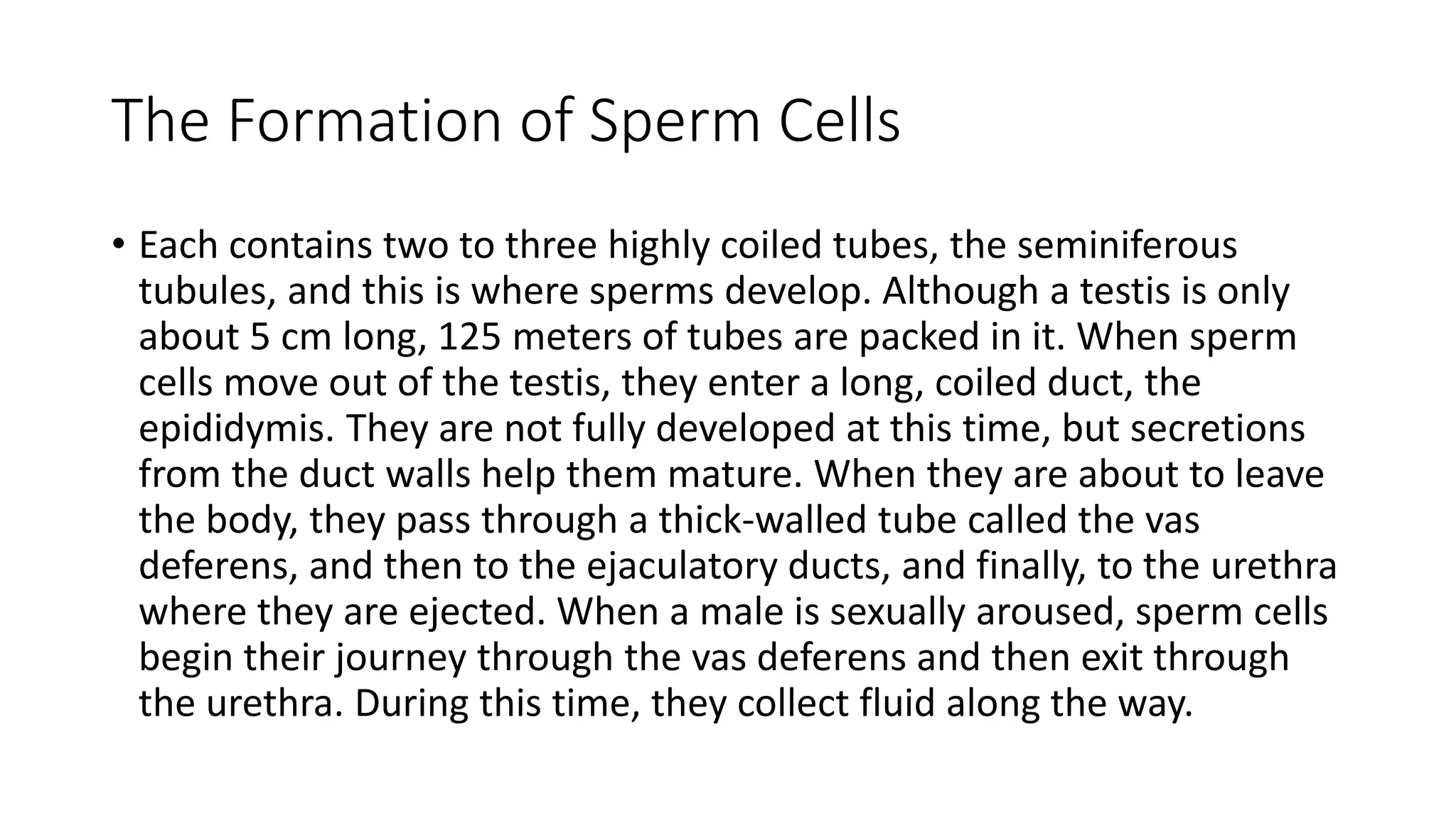 PARTS OF MALE REPRODUCTIVE SYSTEM.pptxvhgg | PPT