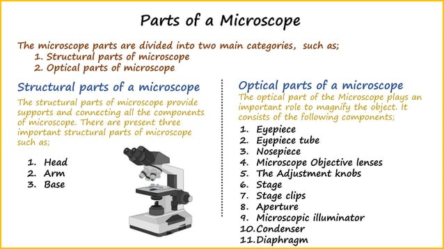Parts of a Microscope and Their Functions - Microbiologynote.com