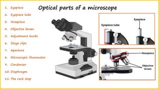 Parts of a Microscope and Their Functions - Microbiologynote.com