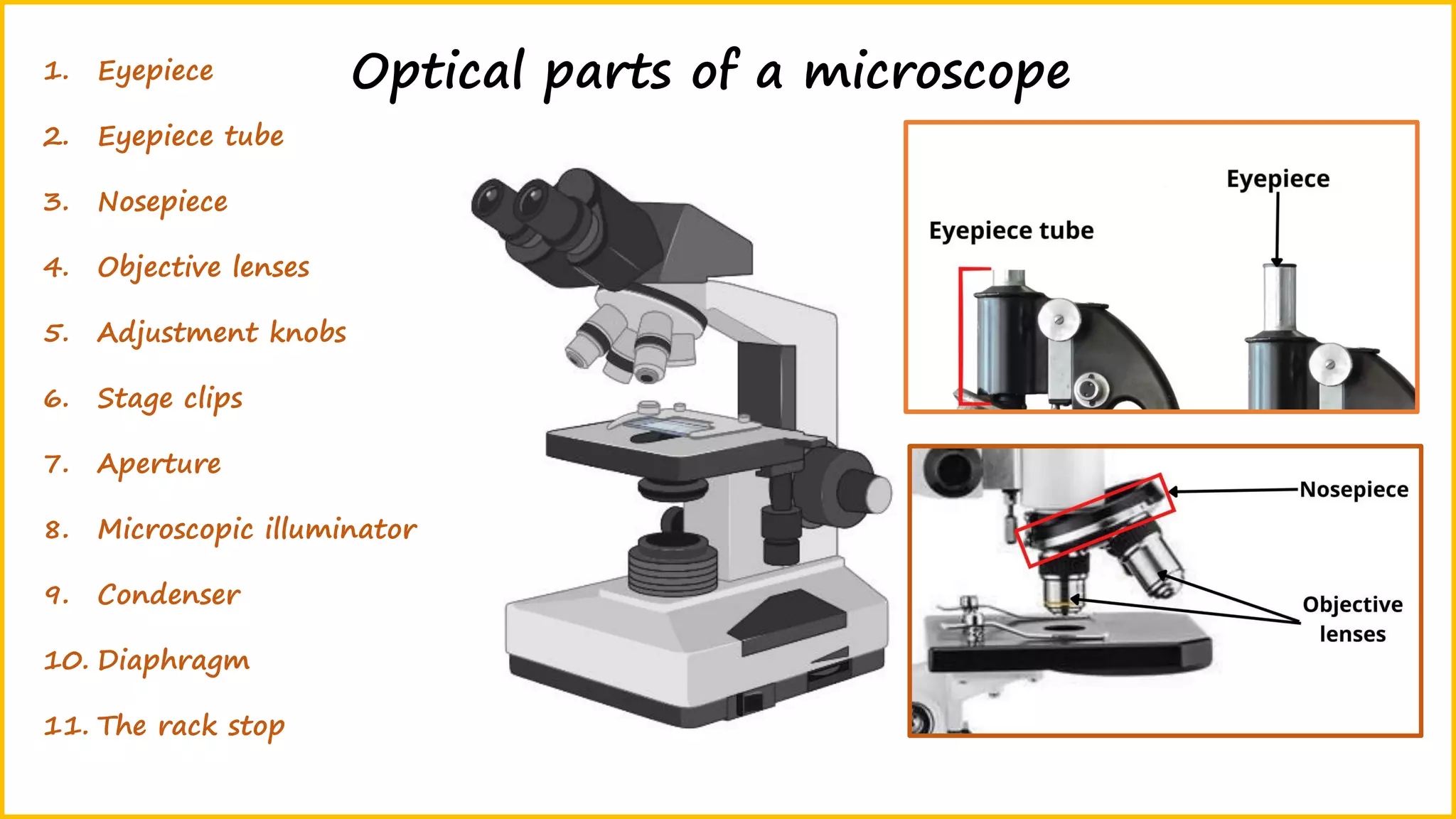 Parts of a Microscope and Their Functions | PDF | Photography | Arts ...