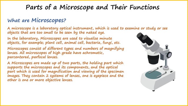 Parts of a Microscope and Their Functions | PDF | Photography | Arts ...