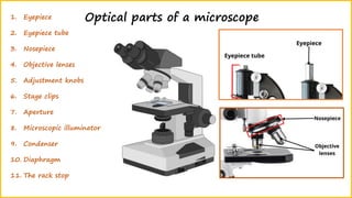 Parts of a Microscope and Their Functions | PDF