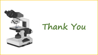 Parts of a Microscope and Their Functions | PDF