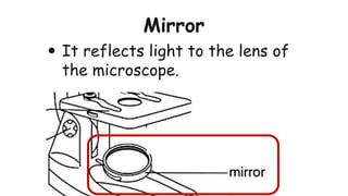 Parts of Microscope SCIENCE 7 FINAL.pdf