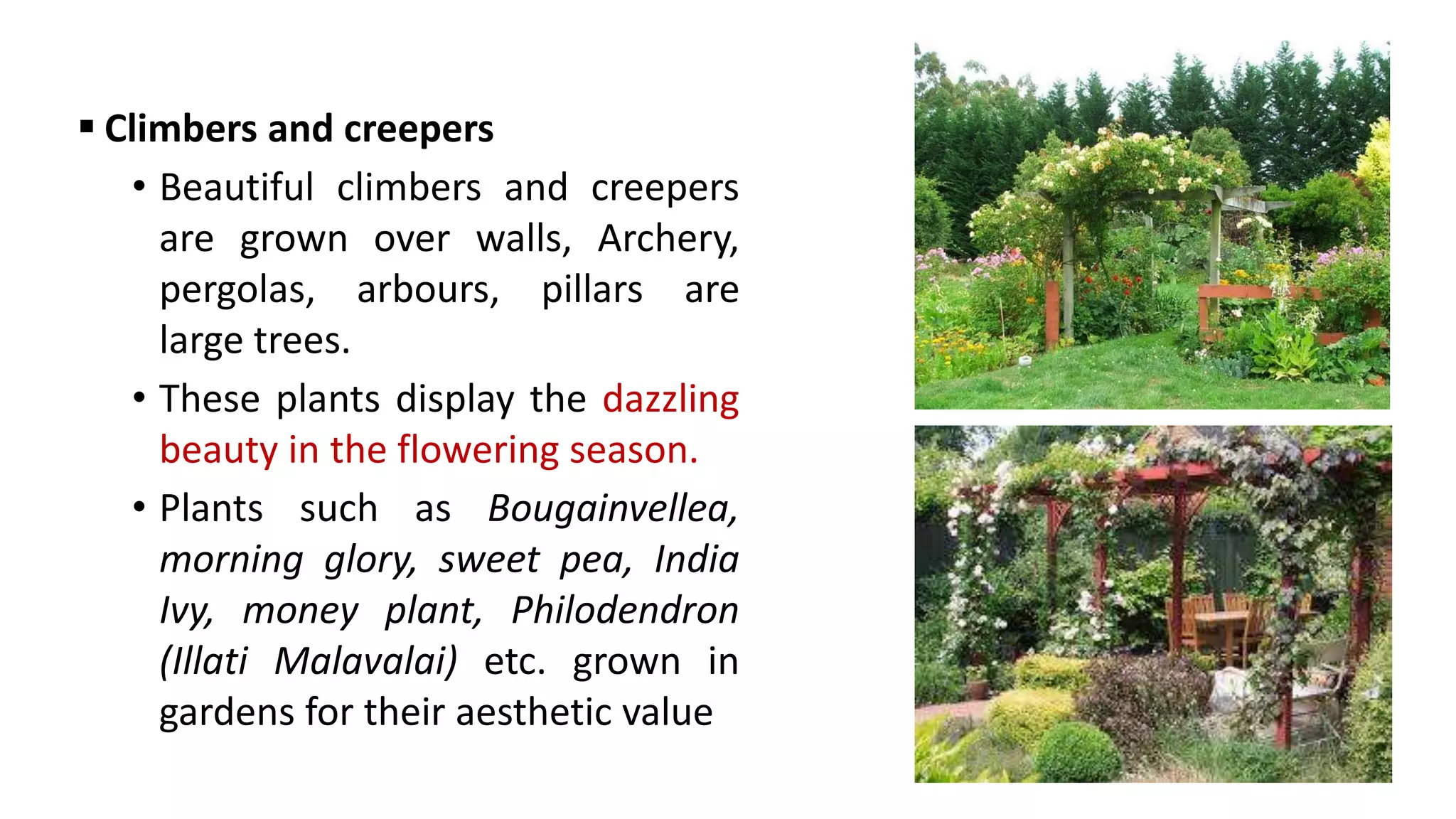 Parts of modern garden | PPTX