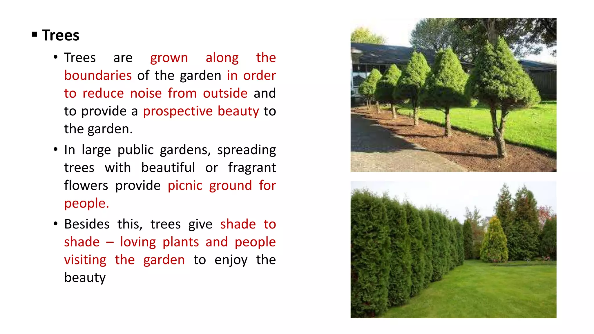 Parts of modern garden | PPTX