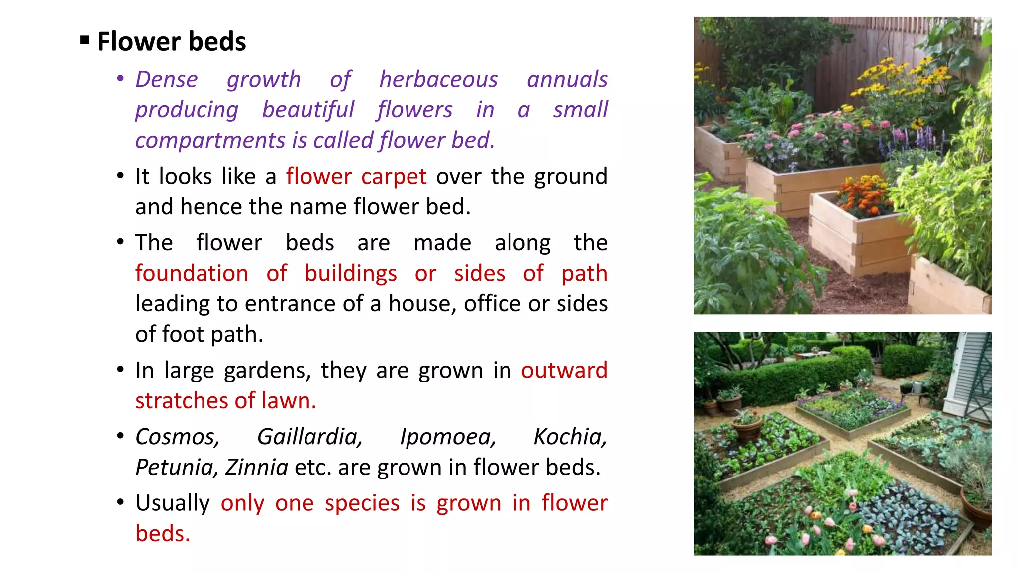 Parts of modern garden | PPTX