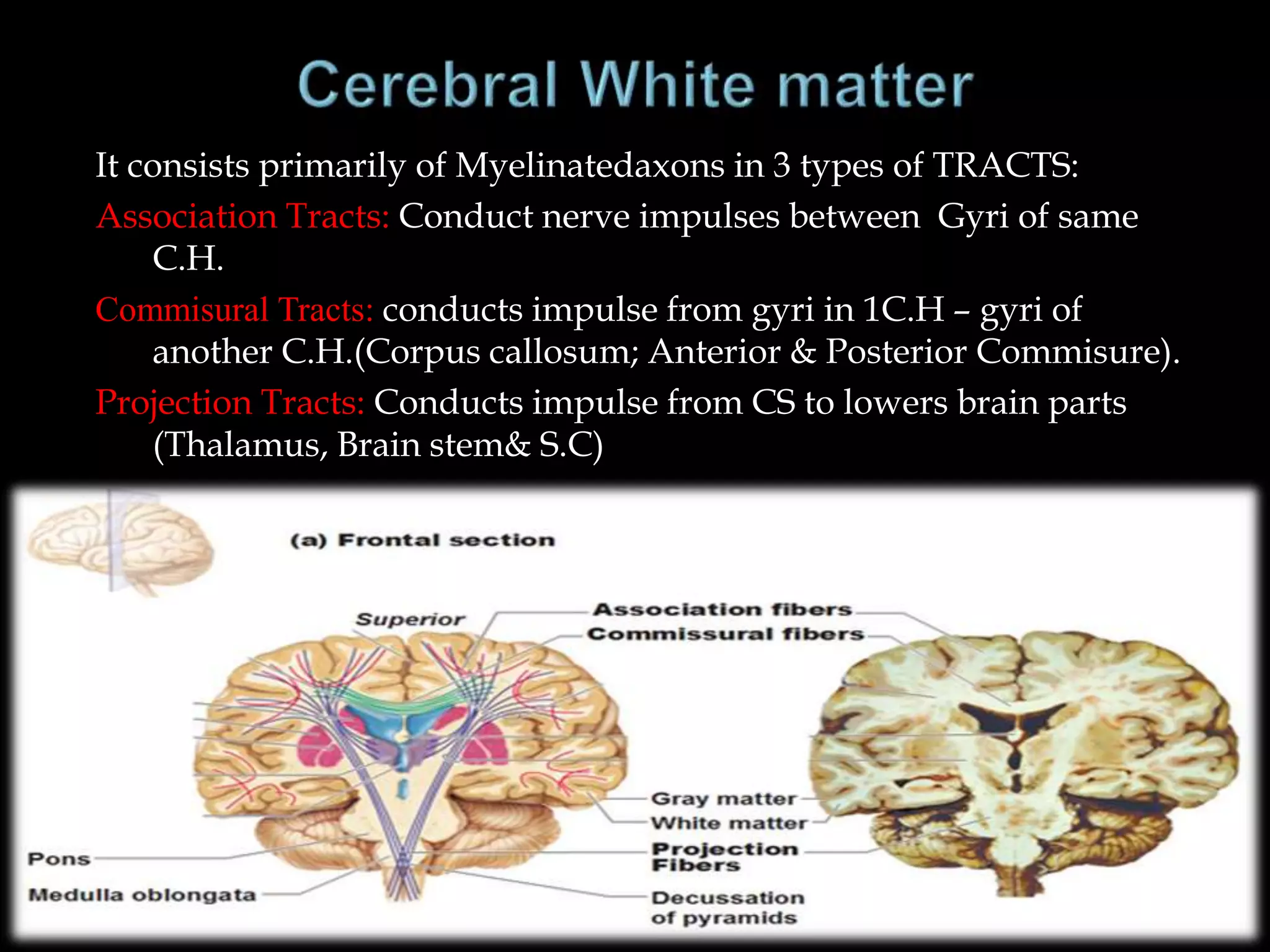 Parts of nervous system | PPTX