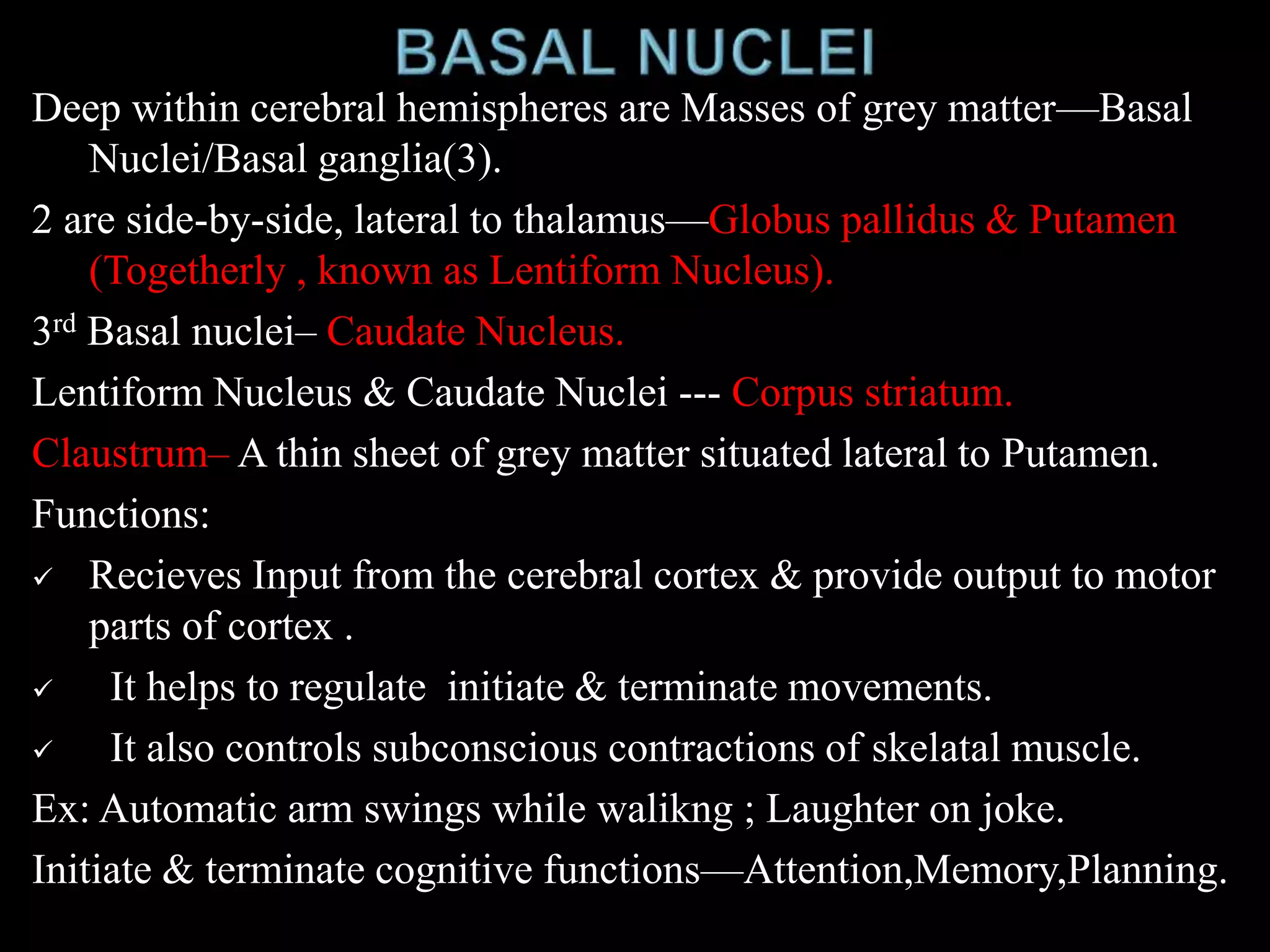 Parts of nervous system | PPTX