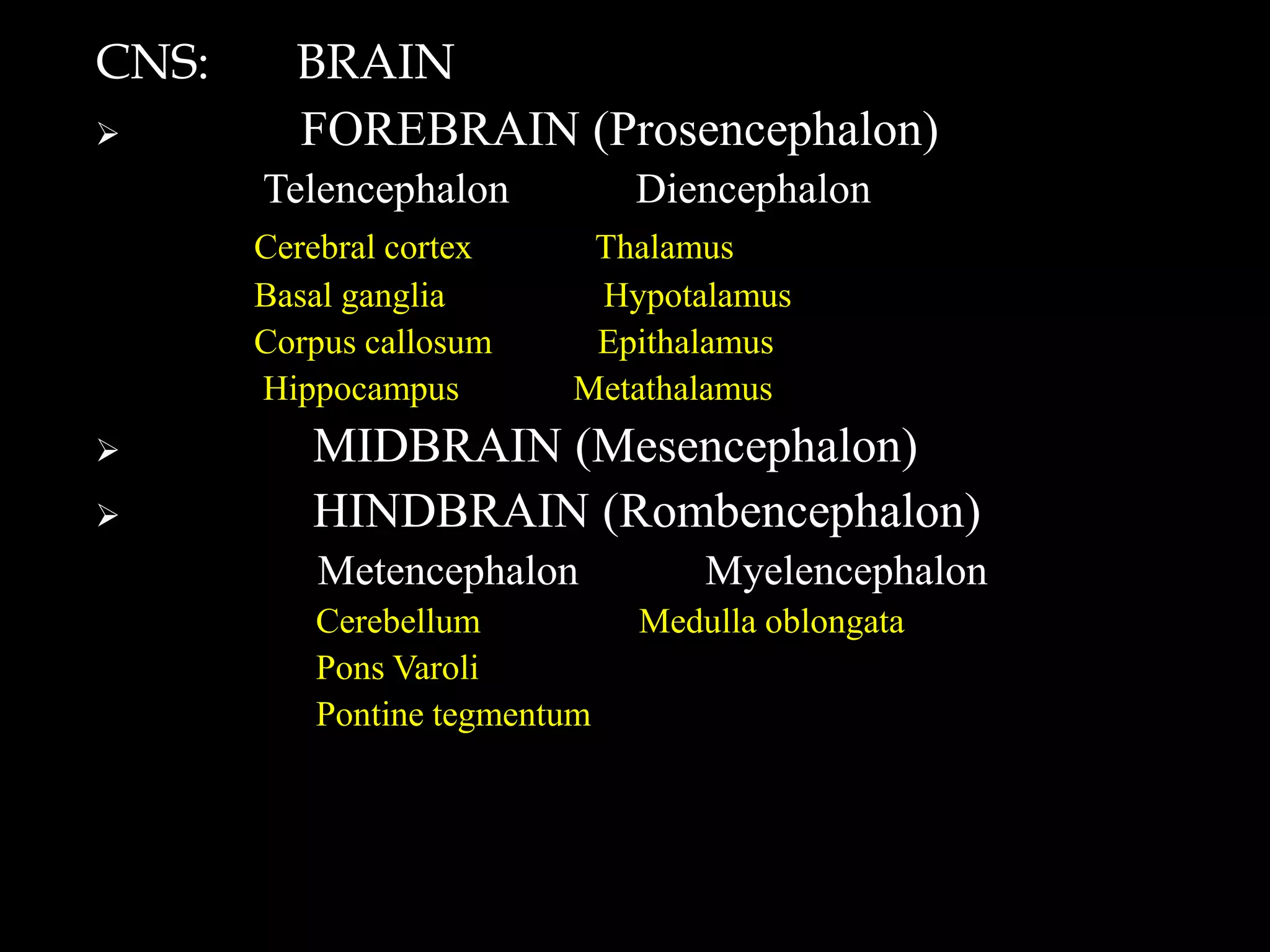 Parts of nervous system | PPTX