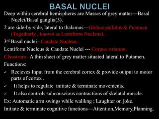 Parts of nervous system | PPTX