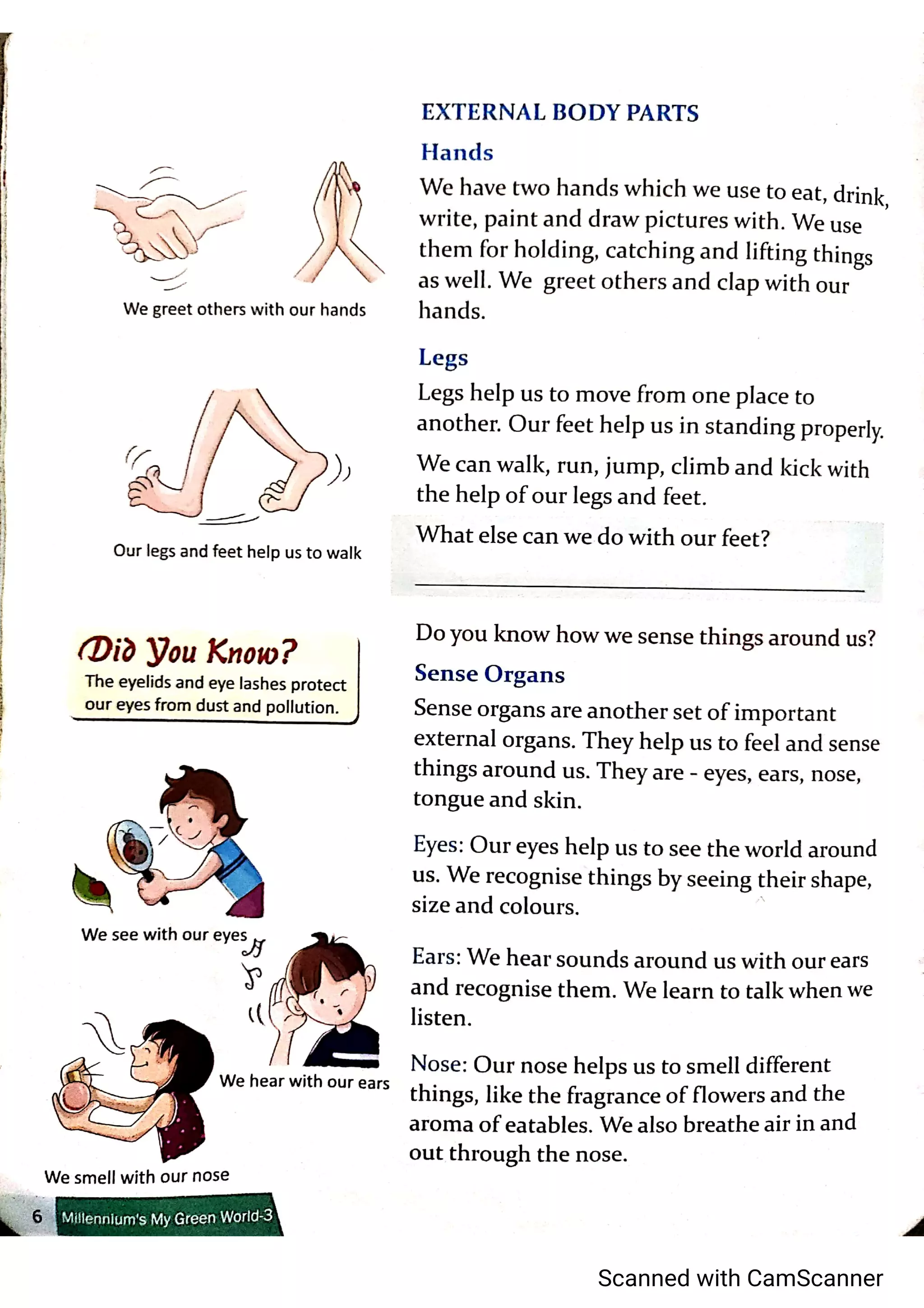 Parts of our body | PDF