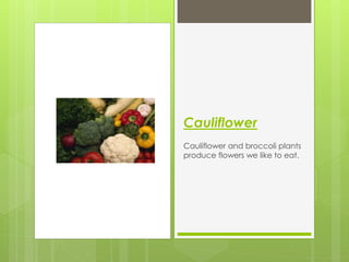 Parts of plant | PDF