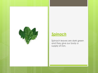 Parts of plant | PDF