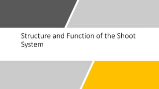 Parts of plant | PPT