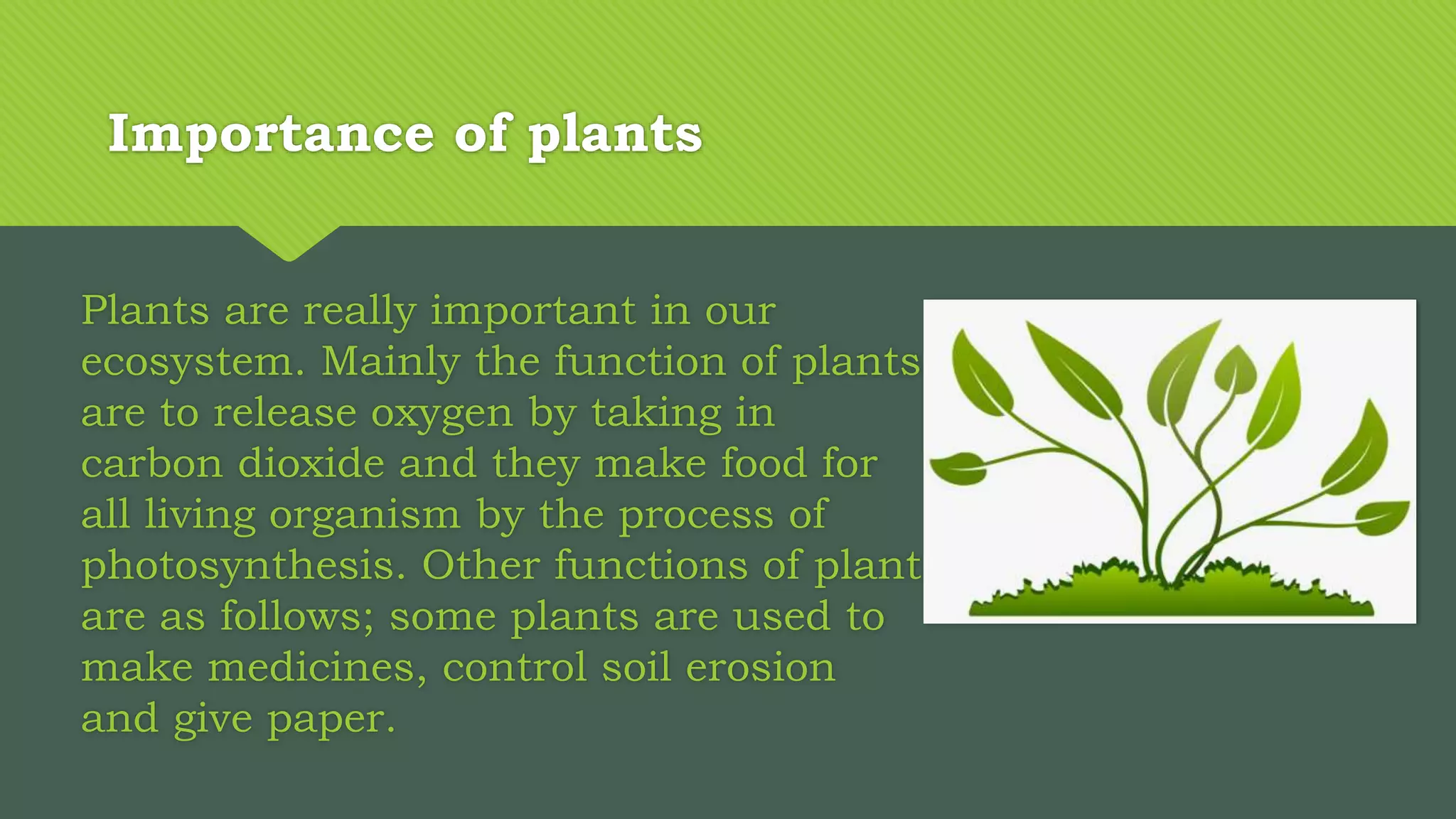 Parts of plant | PPT
