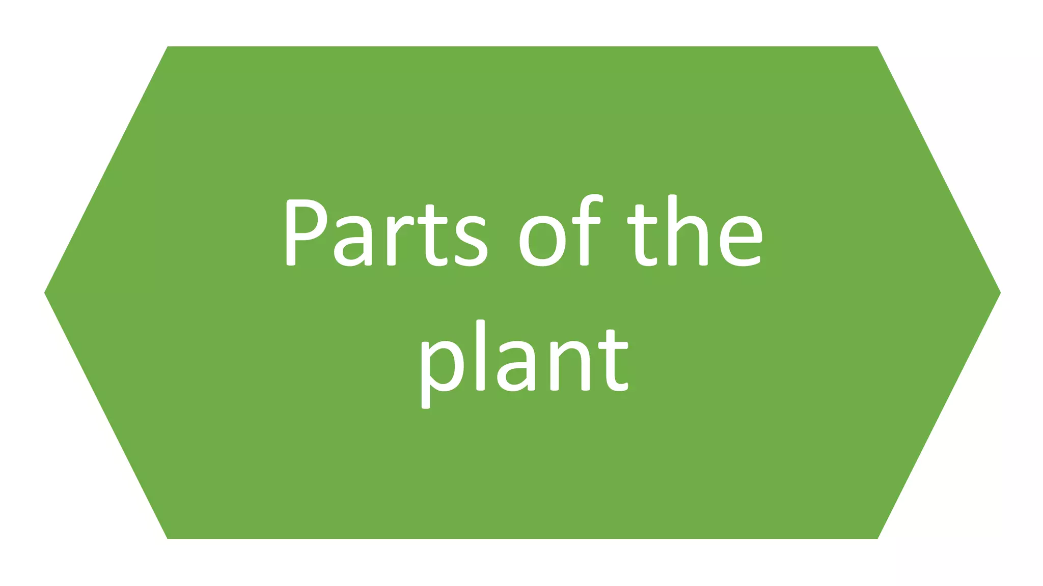 Parts of plant | PPTX