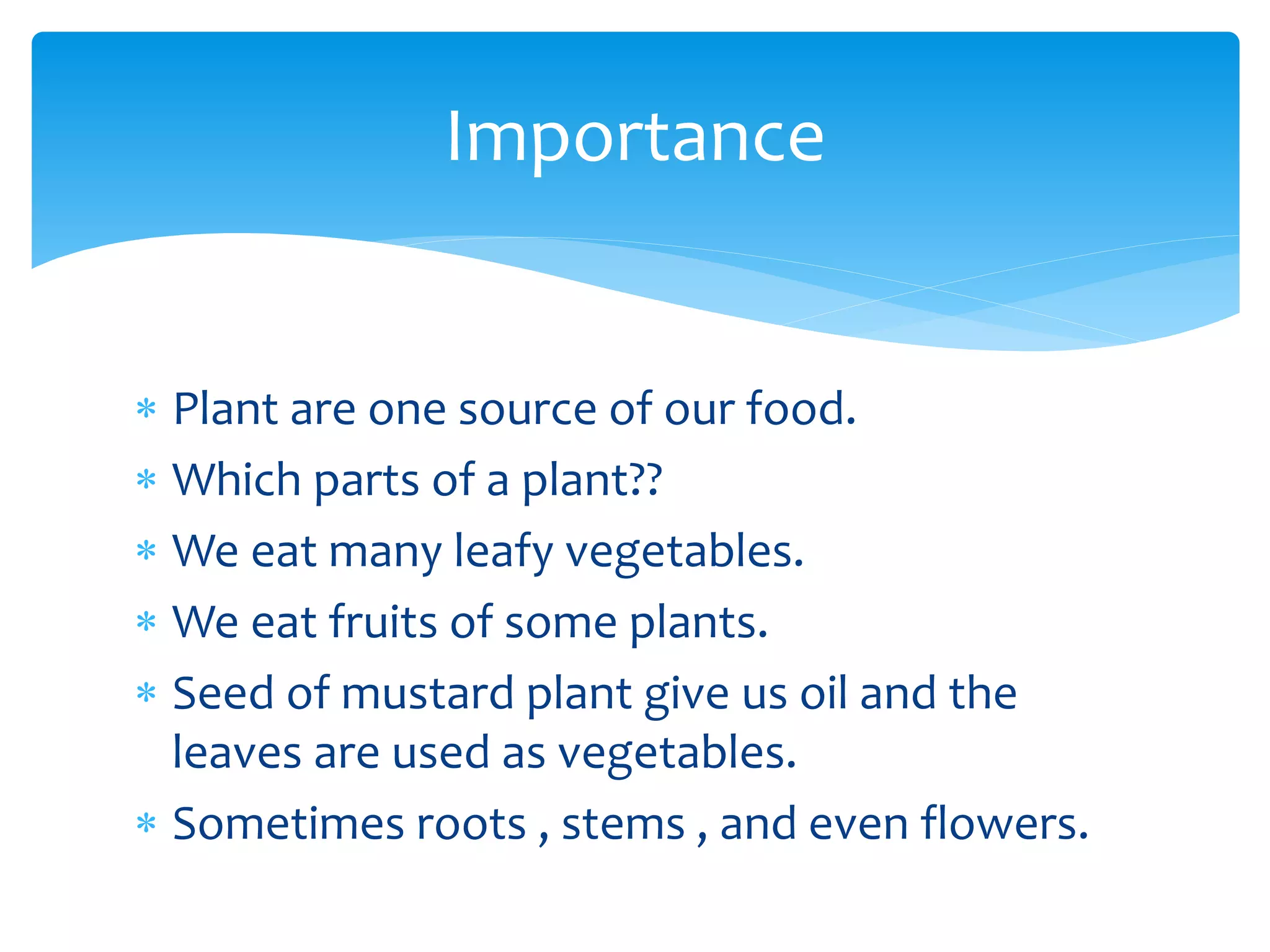knowing about plants | PPT