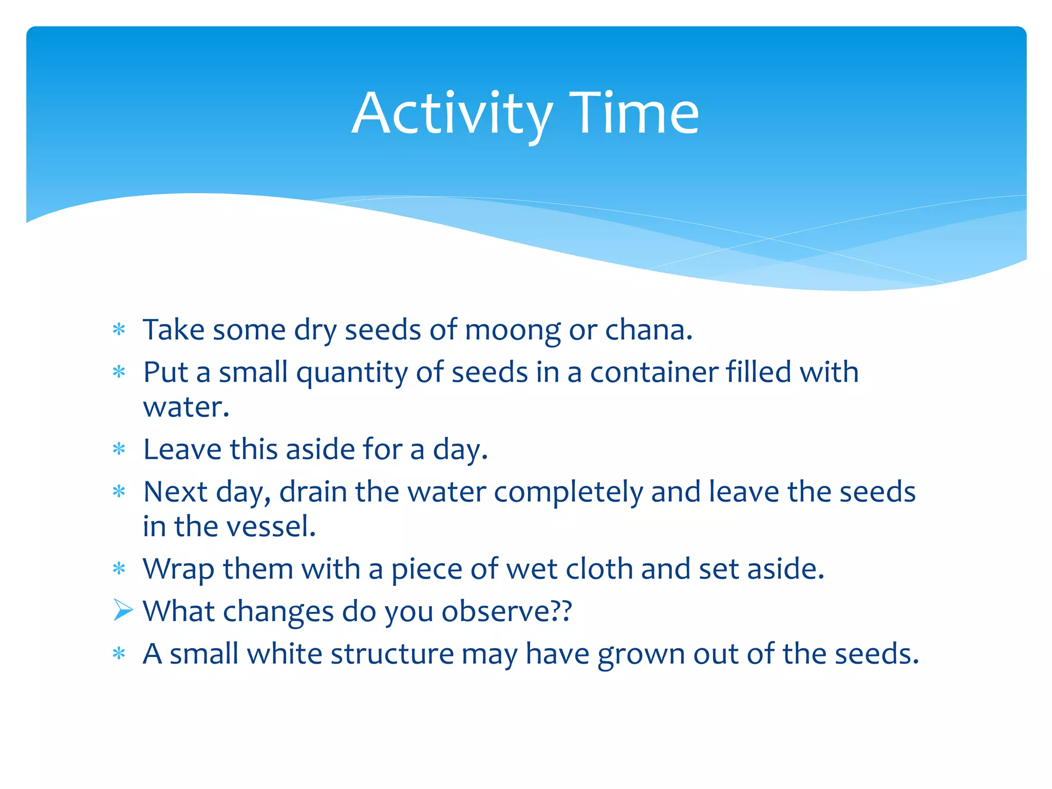 knowing about plants | PPT