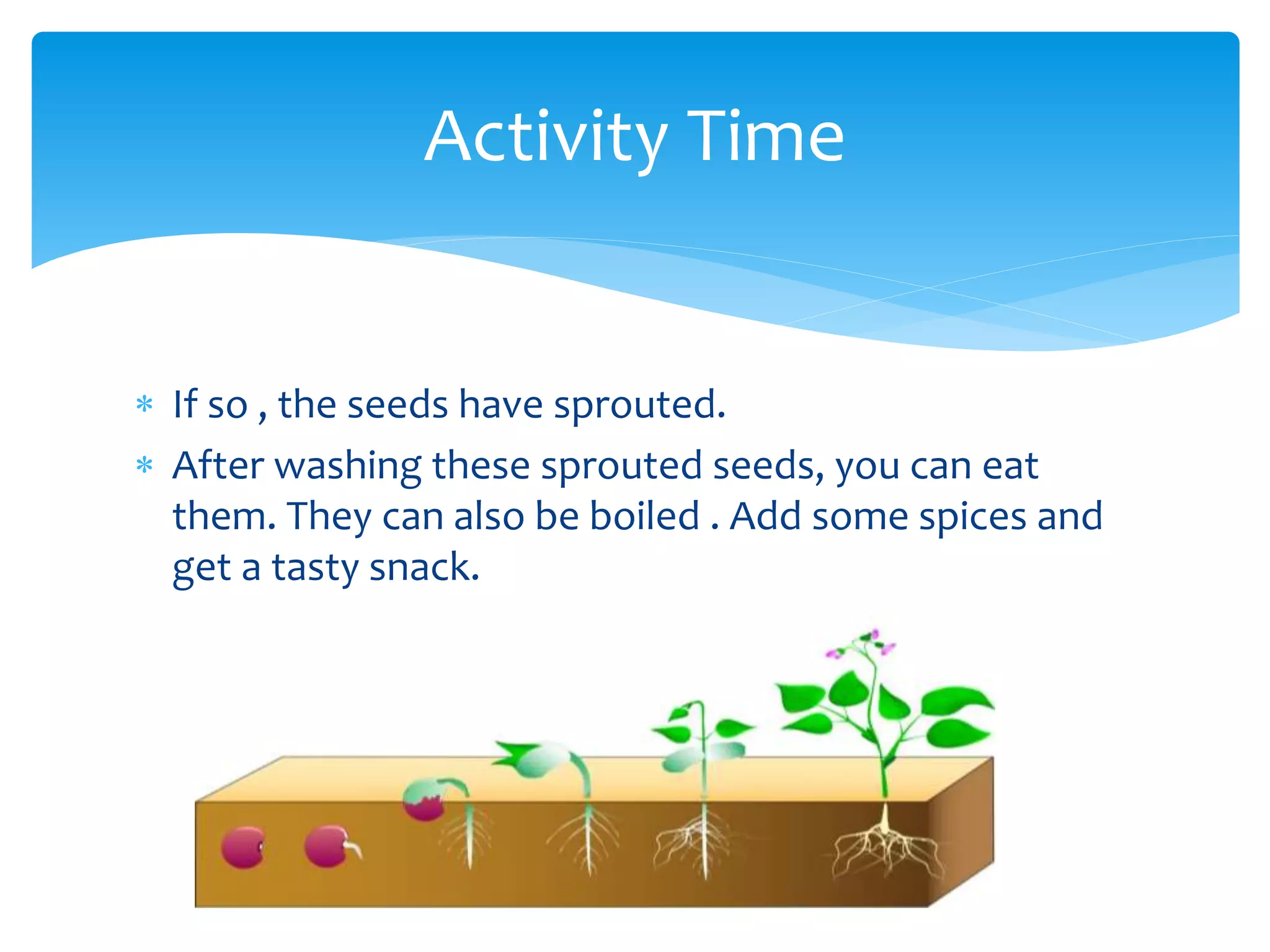 knowing about plants | PPT