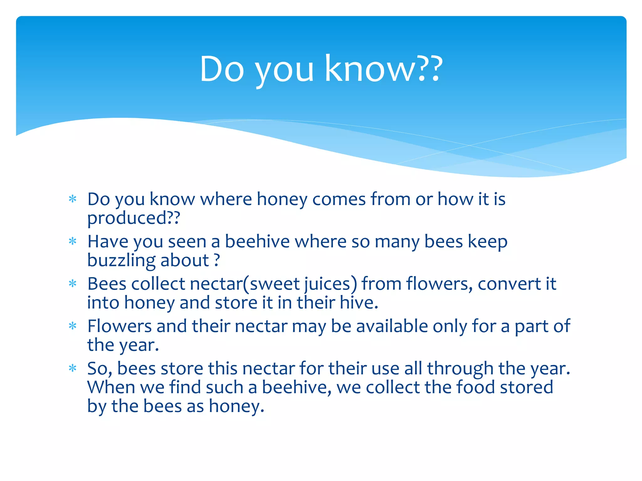 knowing about plants | PPT