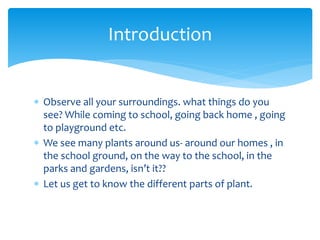 knowing about plants | PPTX