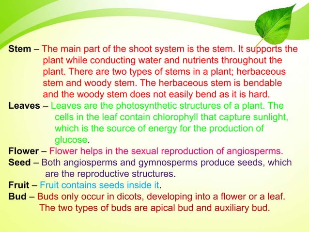 Leaf- Parts of plant - part-1 | PPTX