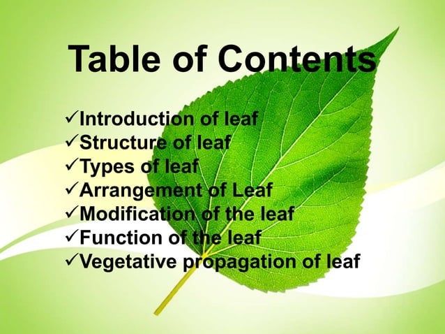 Leaf- Parts of plant - part-1 | PPTX
