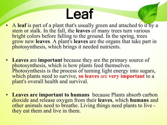 Leaf- Parts of plant - part-1 | PPTX