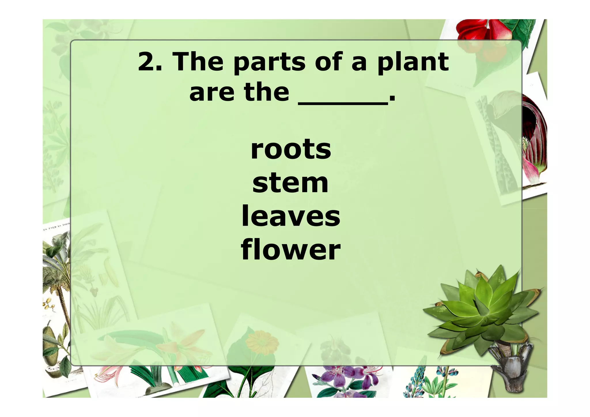 Parts of plants | PDF