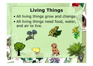 Parts of plants | PDF