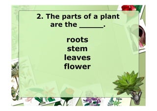 Parts of plants | PDF