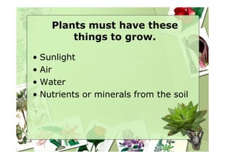 Parts of plants | PDF