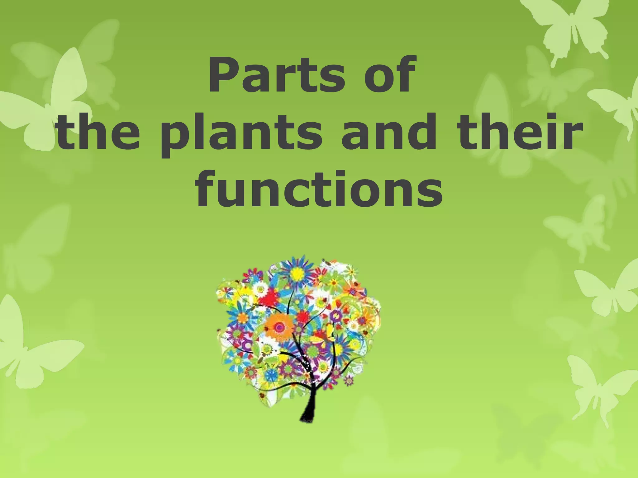 Parts of the plants and their functions | PPT