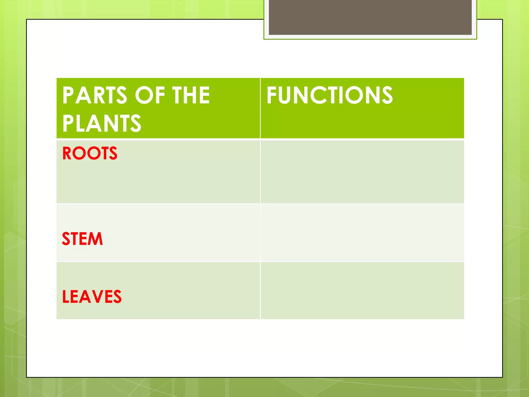 Parts of plants (roots, stem, leaf) | PPTX