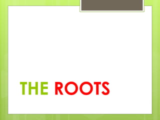 parts of plants roots stem leaf flower fruit seeds.pptx