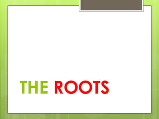 Parts of plants (roots, stem, leaf, flower, fruit, seed) slideshare | PPTX