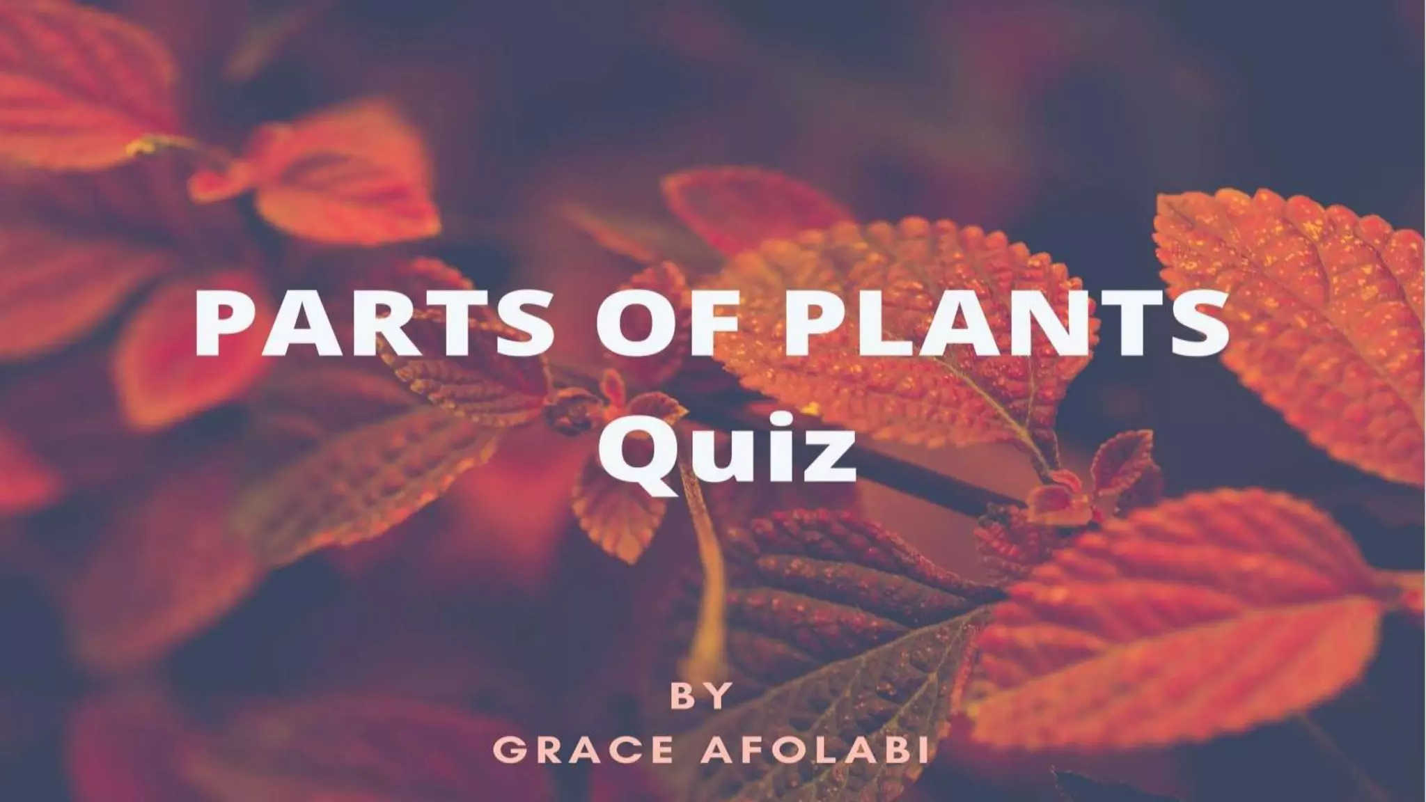 Parts of Plants Quiz | PPTX