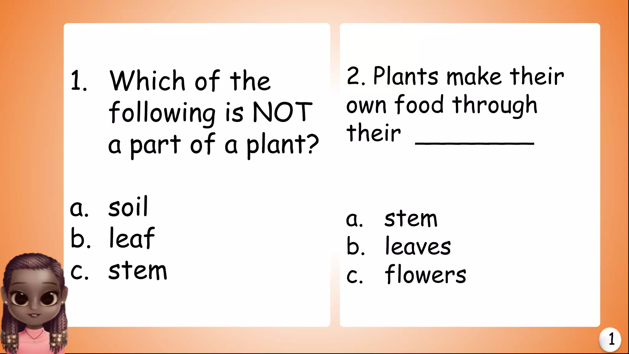 Parts of Plants Quiz | PPTX