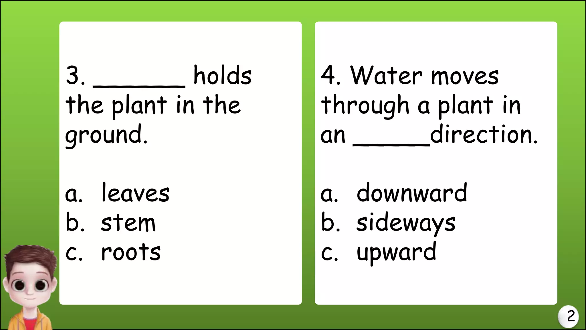 Parts of Plants Quiz | PPTX
