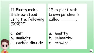 Parts of Plants Quiz | PPTX