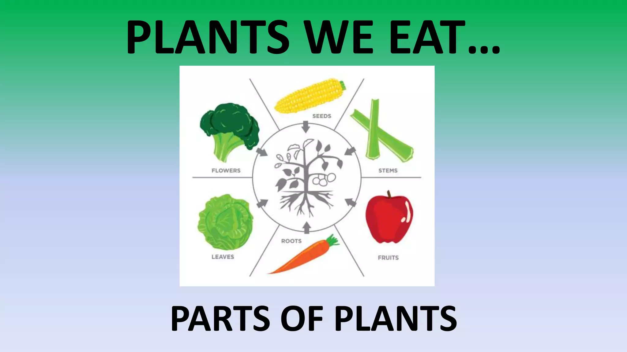 Parts of plants we eat | PPTX