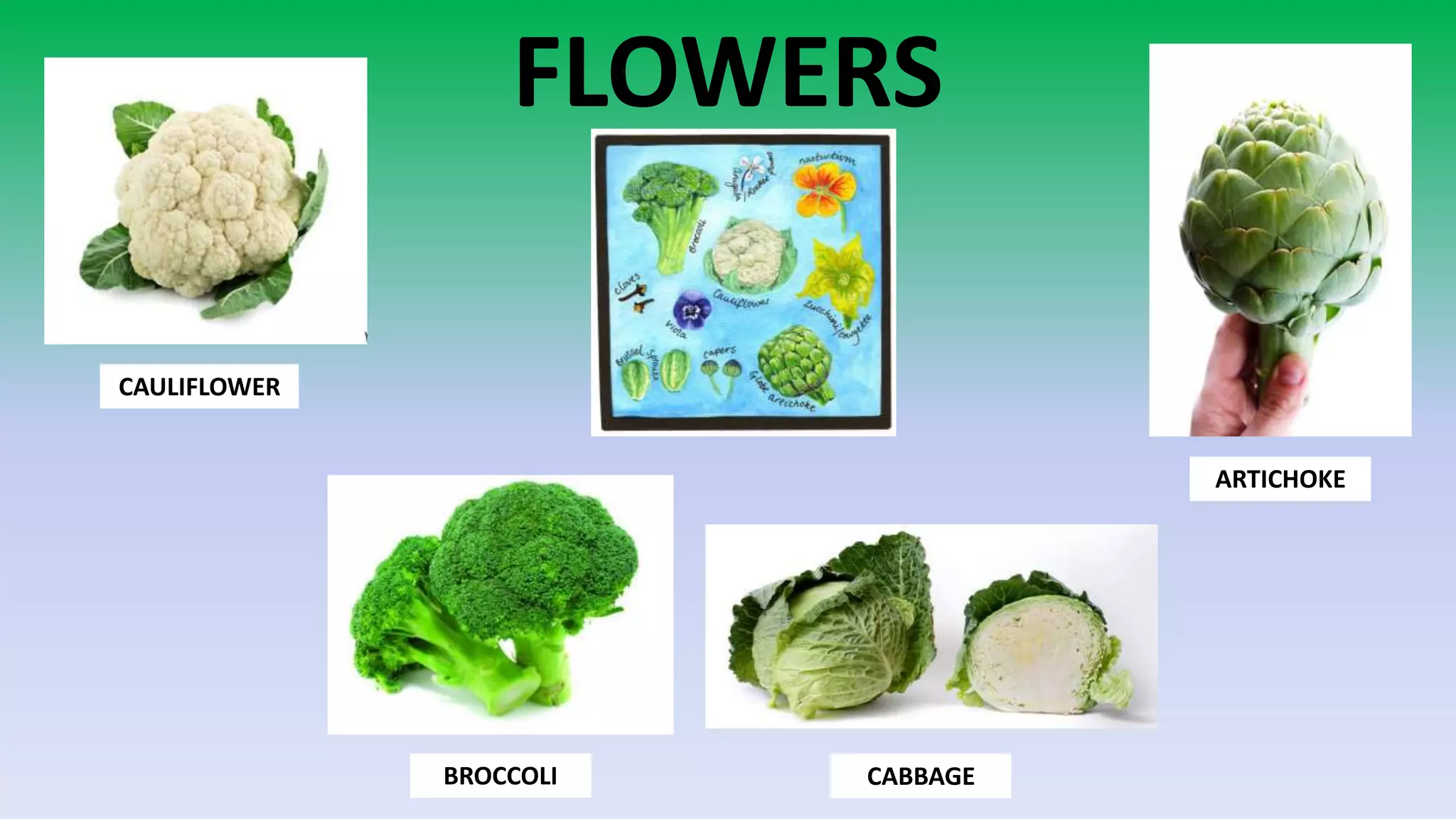 Parts of plants we eat | PPTX
