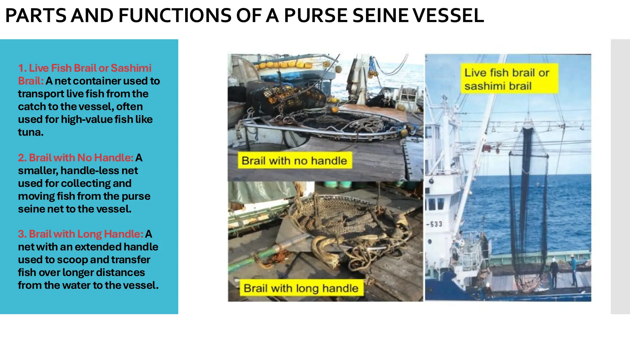 Parts of Purse Seine Vessel (Fishing Vessel).pdf