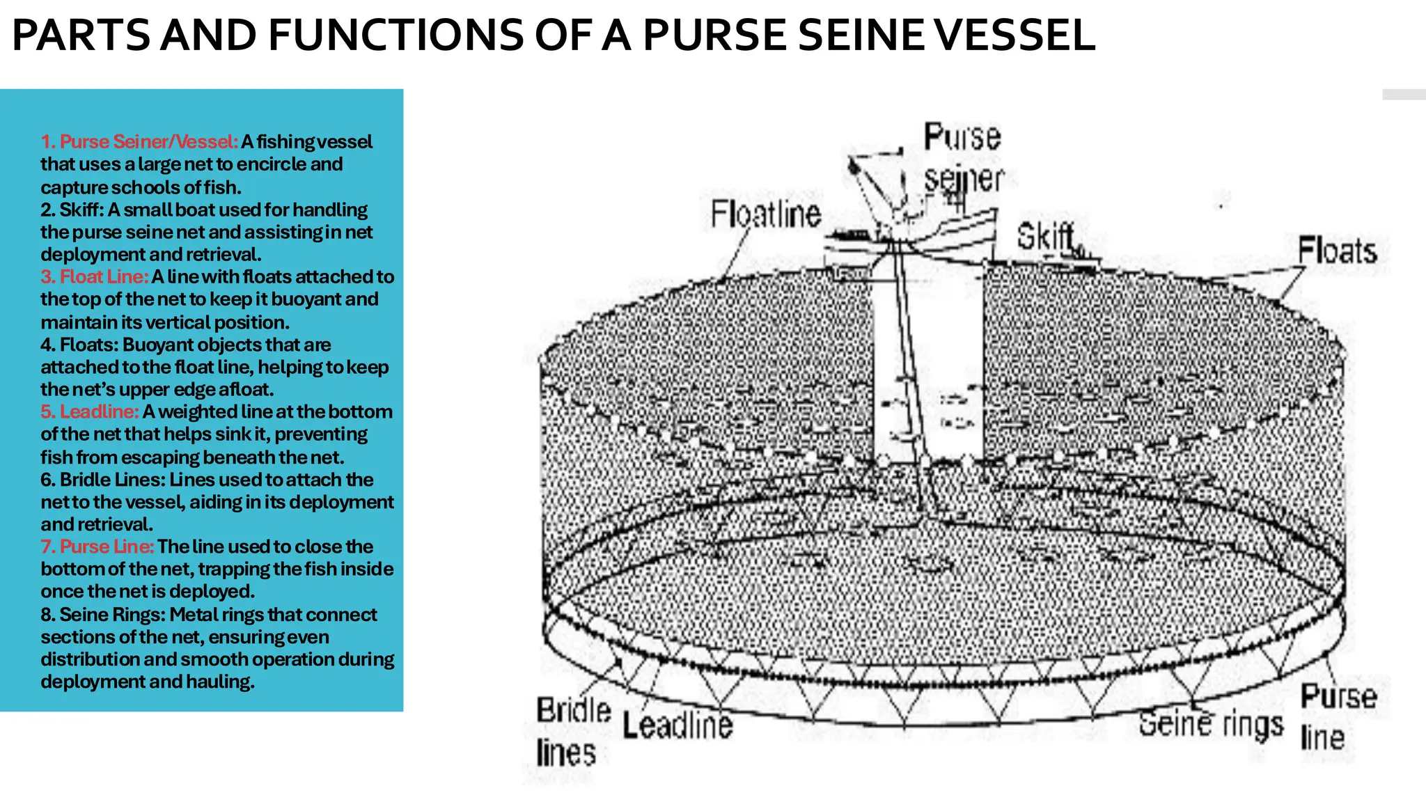 Parts of Purse Seine Vessel (Fishing Vessel).pdf