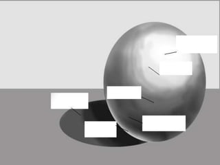 Parts of sphere | PPTX