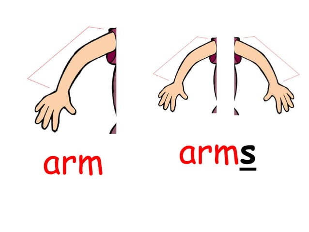 Parts of the body, TERE AMAYA TORRES | PPSX