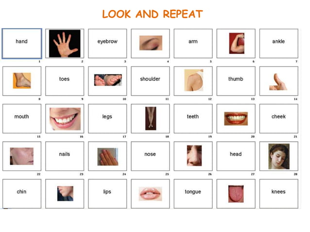 Parts of the body, TERE AMAYA TORRES | PPSX