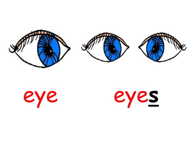 Parts of the body, TERE AMAYA TORRES | PPSX