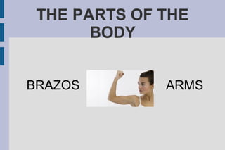 Parts of the body | ODP